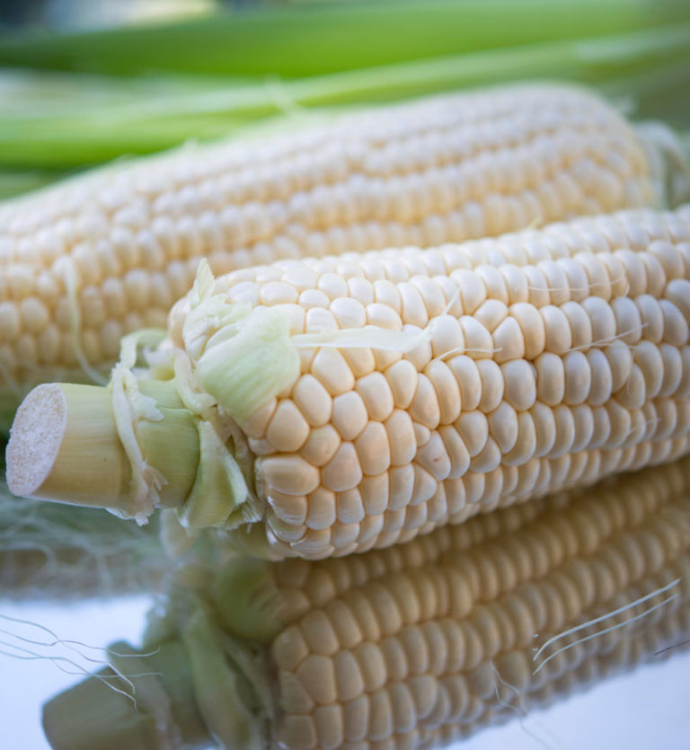 White Corn - Clearview Farm